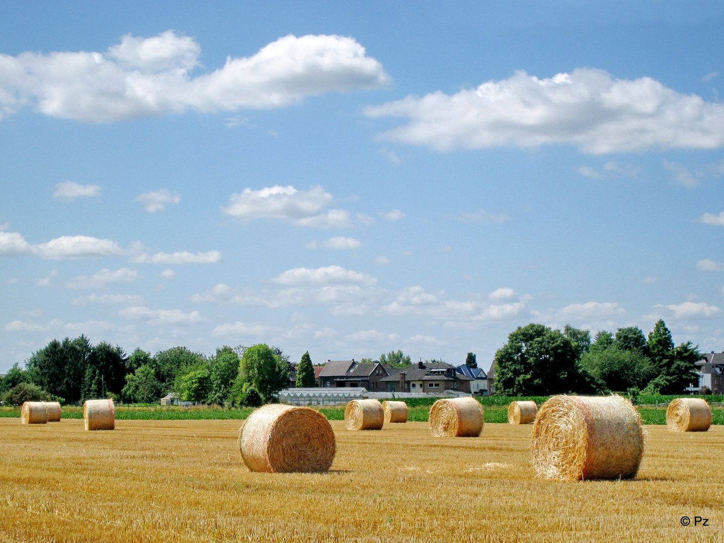 Die Ernte macht Fortschritte ... Foto & Bild | jahreszeiten, sommer ...