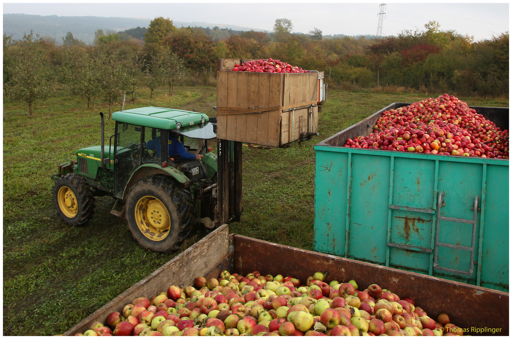 Die Ernte vom Mostobst IX Foto & Bild | industrie und technik ...