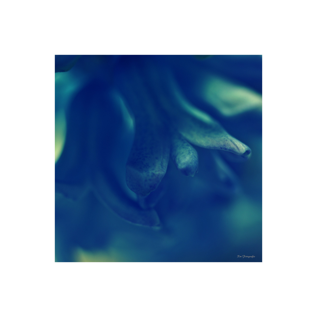 Die Farbe Blau... Foto & Bild | fotos, art, spezial Bilder auf ...