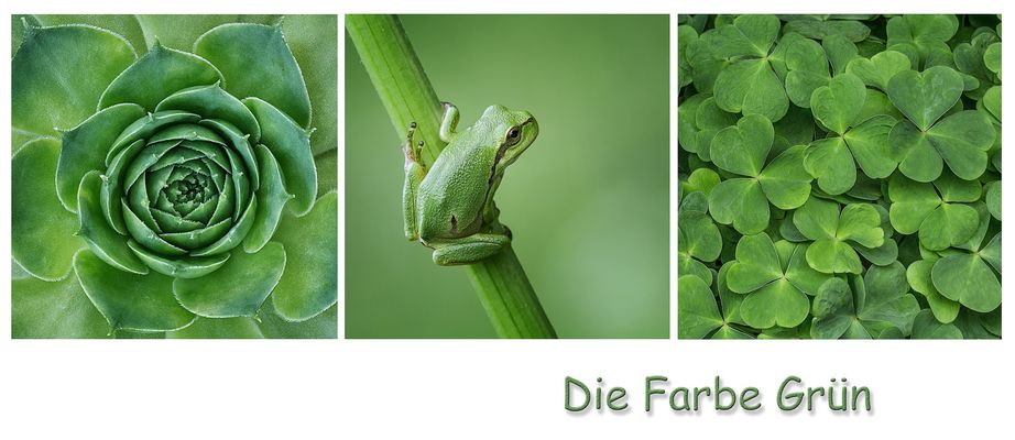08 Farben - Grün Bilder & Fotos