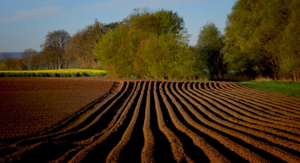 Die Felder Foto & Bild | landschaft, Äcker, felder & wiesen ...