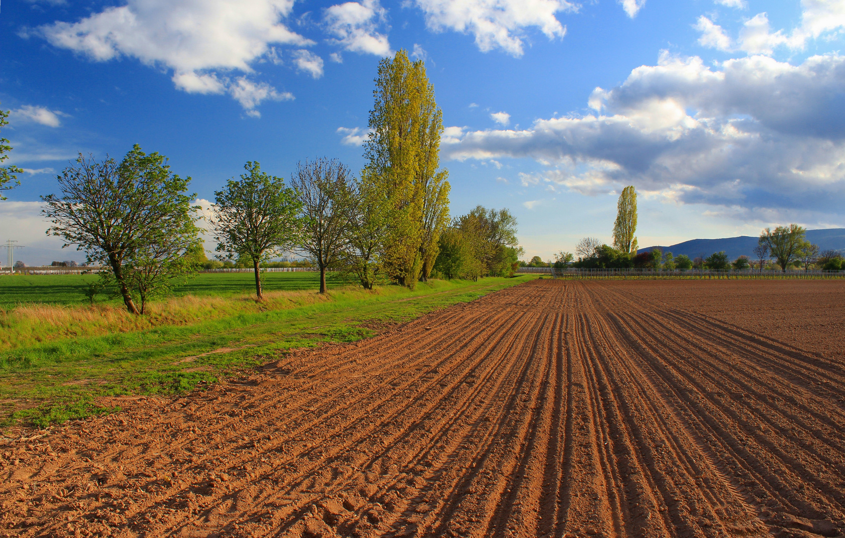 Die Felder sind bestellt.. Foto & Bild | deutschland, europe, rheinland ...