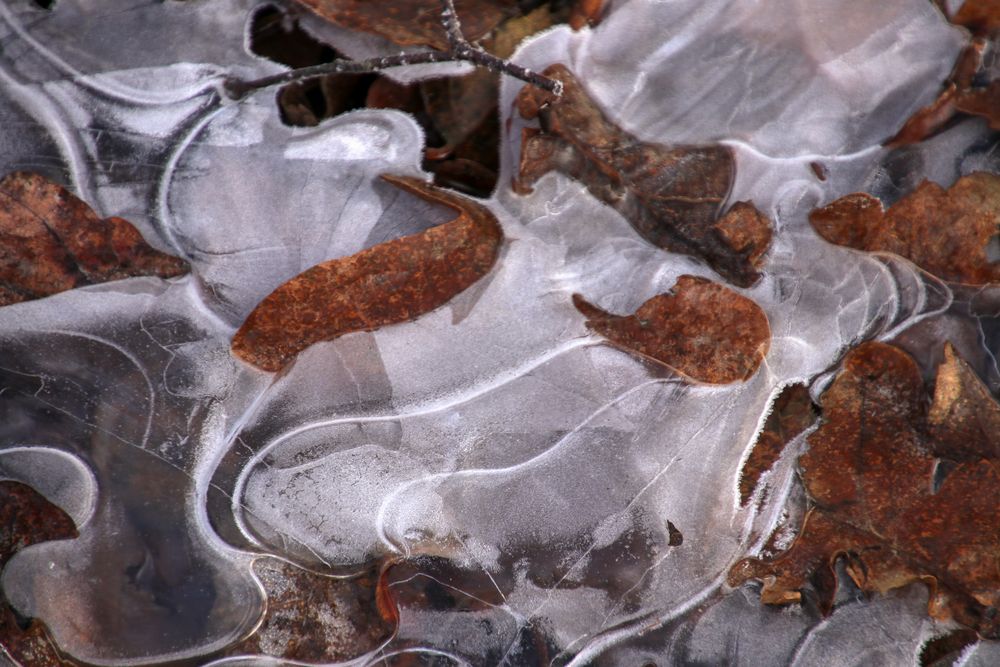 Die Finger Foto & Bild | sonstiges, wasser im detail, eisdetails Bilder ...