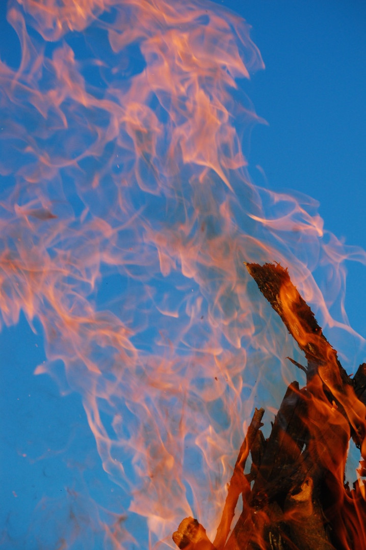Die Flamme Foto & Bild | archiv projekte naturchannel ...