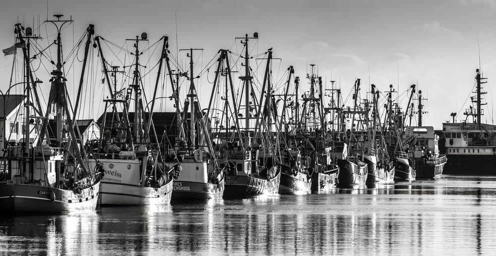 Die Flotte im Hafen Foto & Bild | urlaub, sunset, sonnenuntergang ...