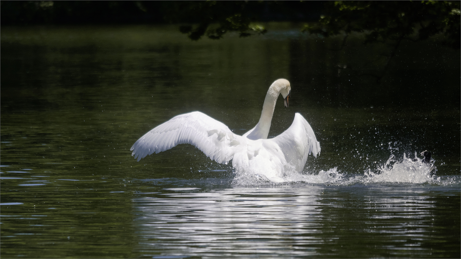 Die Flucht Foto & Bild | park, münchen, natur Bilder auf fotocommunity