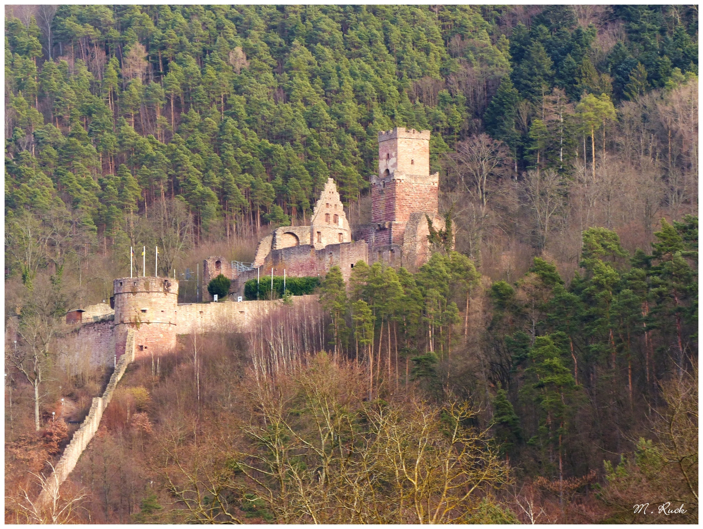 Die Freudenburg am Main , Foto & Bild | jahreszeiten, winter, bäume ...