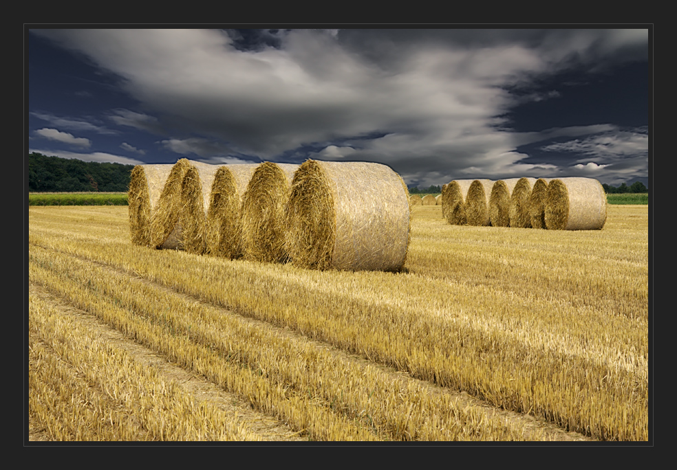 Die Garde 2 Foto & Bild | deutschland, europe, hessen Bilder auf ...