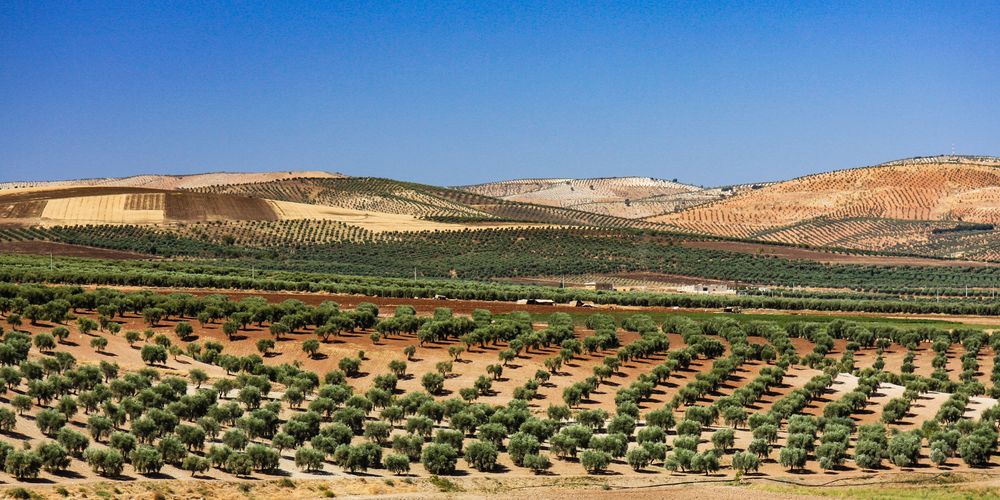 Die Gegend bei Ain Dara (Afrin, Nordsyrien) Foto & Bild | world, asien ...