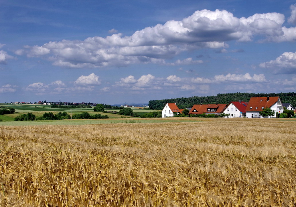 Die Gerste ist reif (s. Thumb) Foto & Bild | jahreszeiten, sommer ...