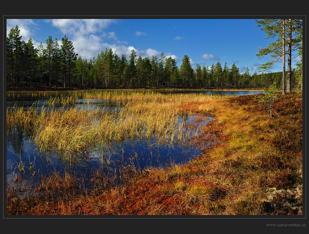 Die Geschichte von der Geduld Foto & Bild | europe, scandinavia, sweden ...