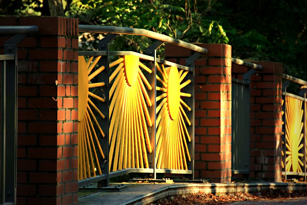 Die Gewissheit.. Foto & Bild | spezial, wald, licht Bilder auf ...