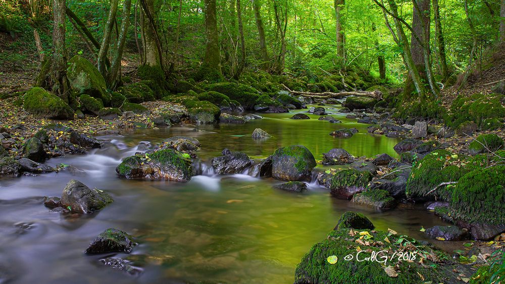 Die Glotter bei Glottertal Foto & Bild | wald, natur, digiart Bilder ...