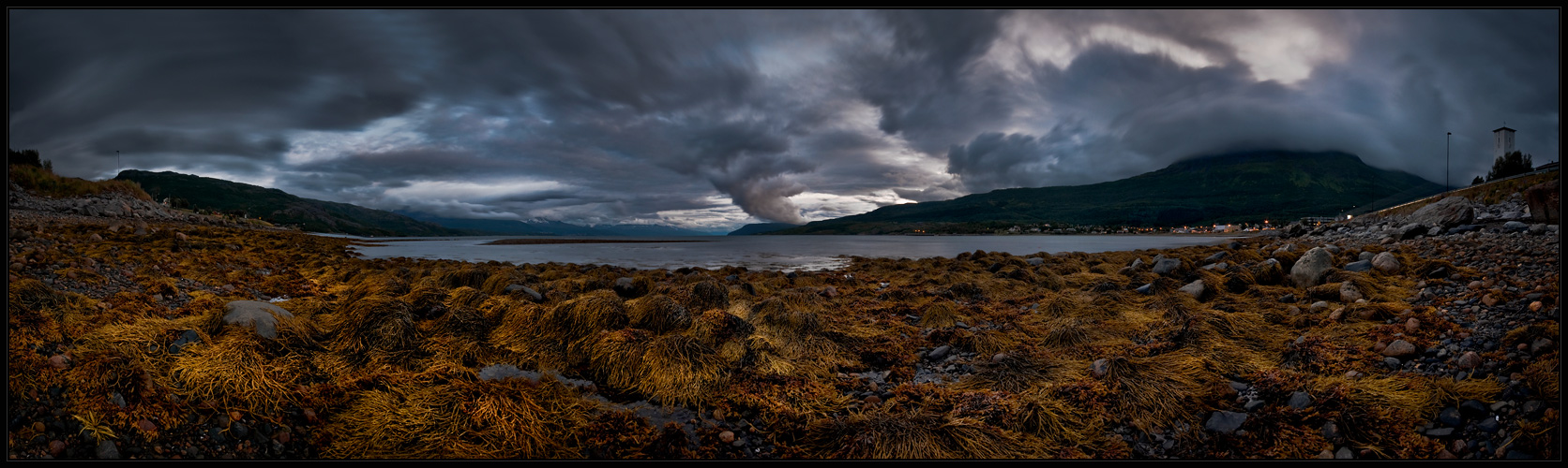 die goldenen Frisuren von Ofoten Foto & Bild | europe, scandinavia ...