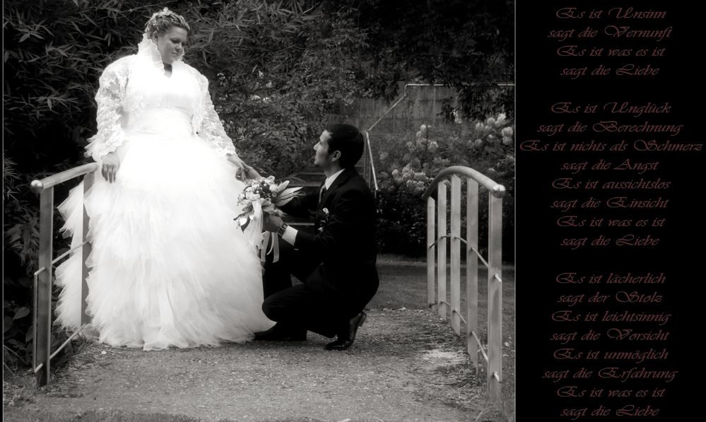 Die grösste Liebeserklärung Foto & Bild | hochzeit, collagen, menschen Bilder auf fotocommunity