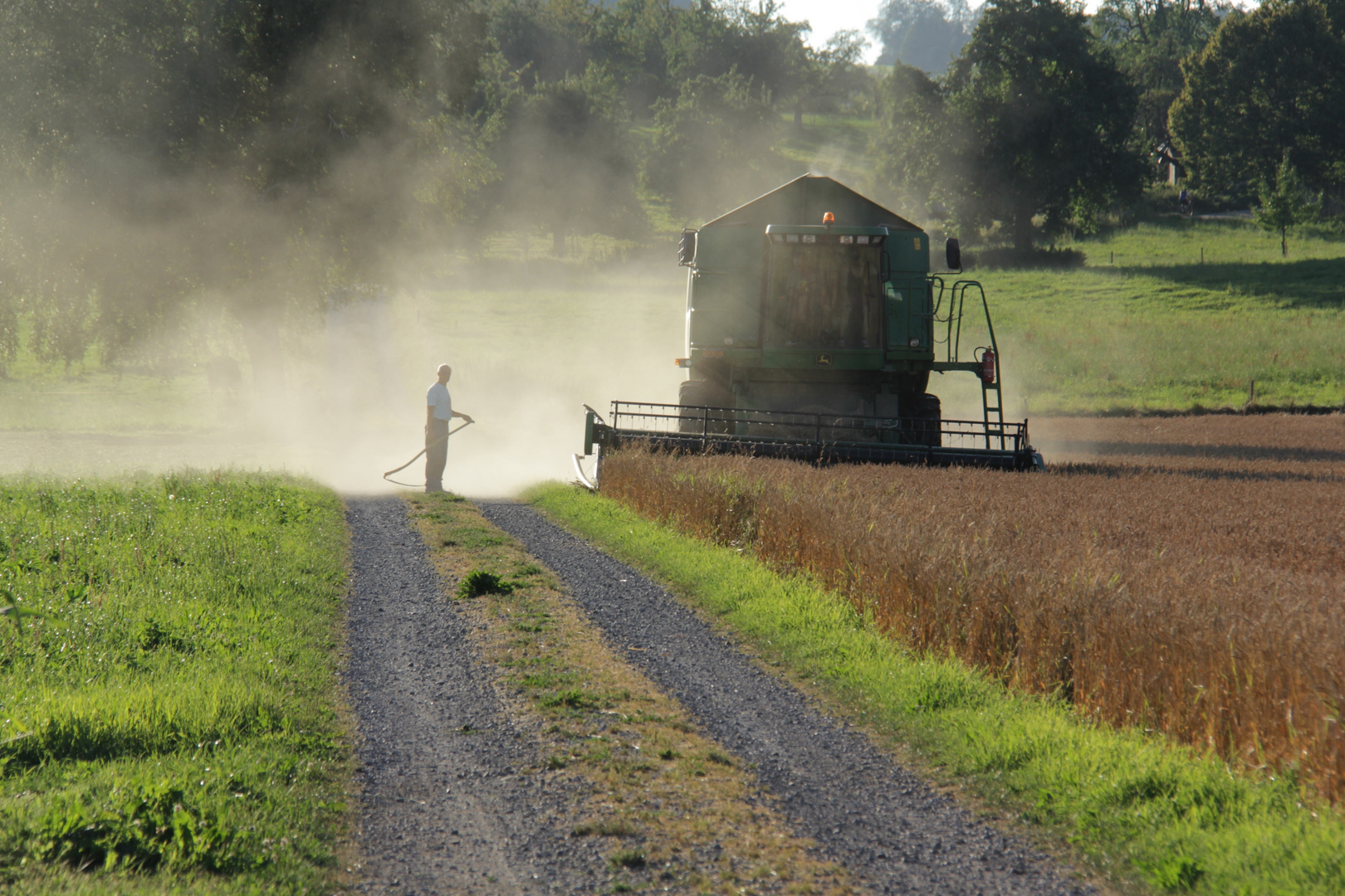 Die grosse Ernte Foto & Bild | sommer, natur, getreide Bilder auf ...