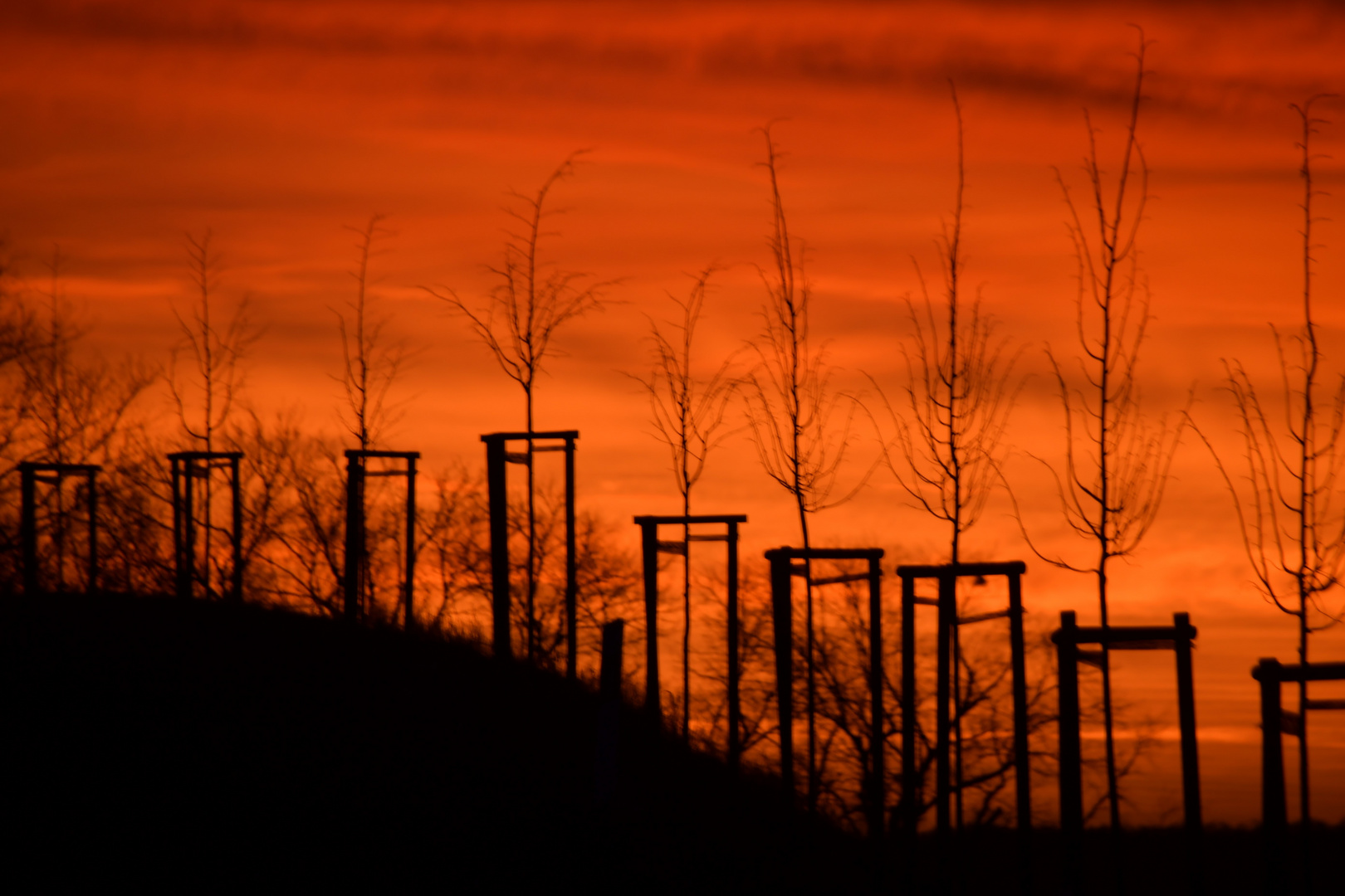 ...die Gunst der Stunde... Foto & Bild | sonnenaufgänge, himmel ...