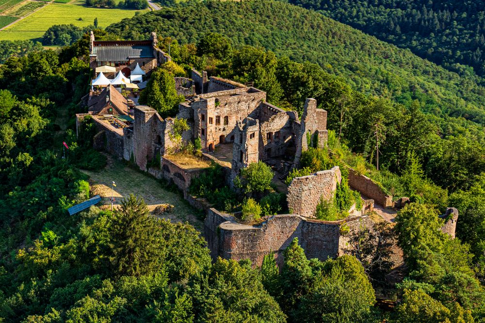 Die Haardt in der Pfalz Foto & Bild | architektur, deutschland, europe ...