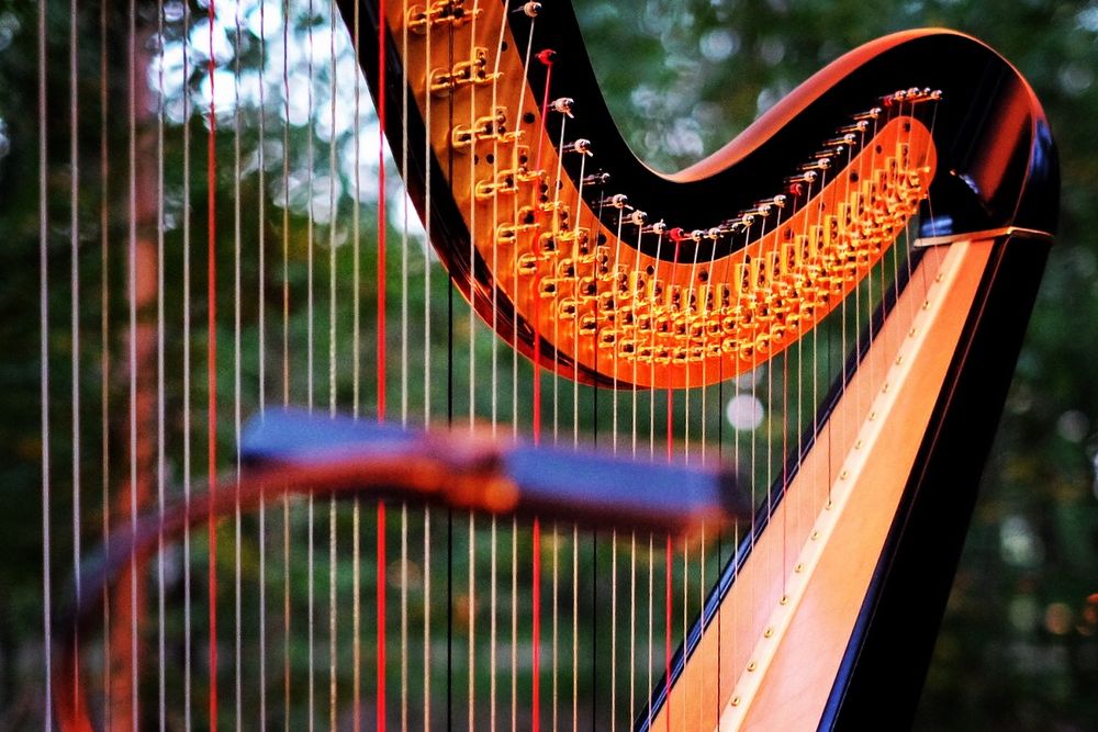 Die Harfe Foto & Bild | deutschland, europe, schleswig- holstein Bilder ...