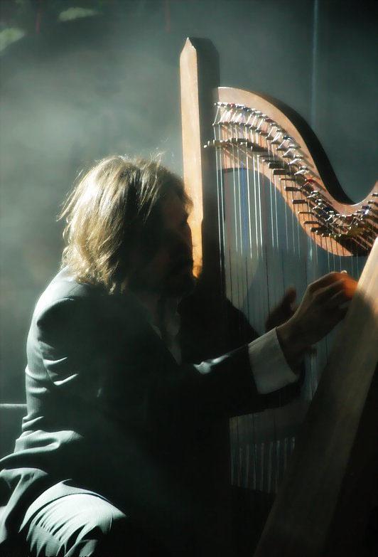 Die Harfe Foto & Bild | kunstfotografie & kultur, musik & konzert ...