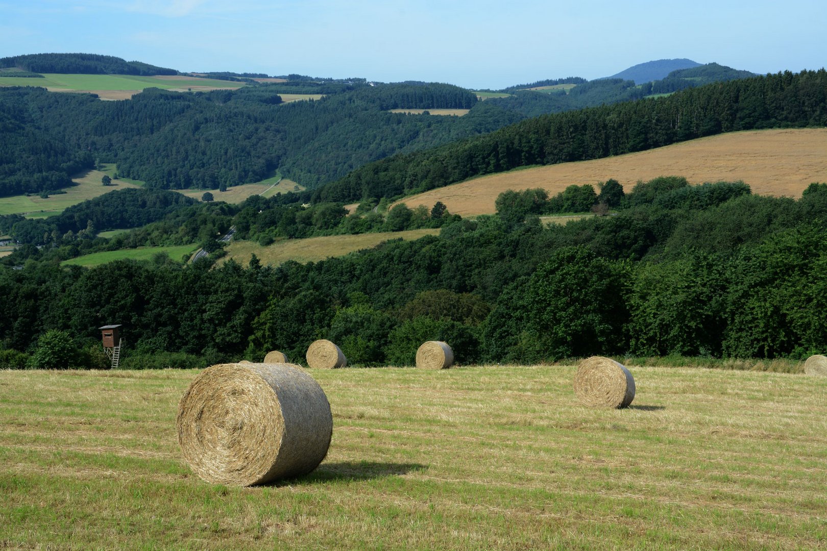 Die Heuernte in der Eifel hat begonnen Foto & Bild | natur, landschaft, pflanzen Bilder auf ...