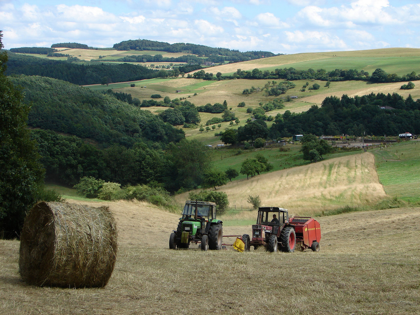 Die Heuernte ist in vollem Gange Foto & Bild | world, deutschland ...