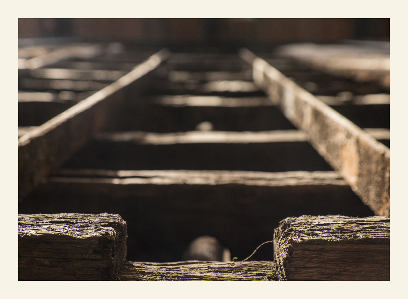 die Holzbohlen Foto & Bild | spezial, berlin, museum Bilder auf ...