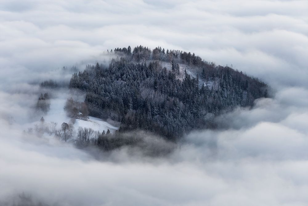 Die Insel Foto & Bild | europe, Österreich, salzburger land Bilder auf ...
