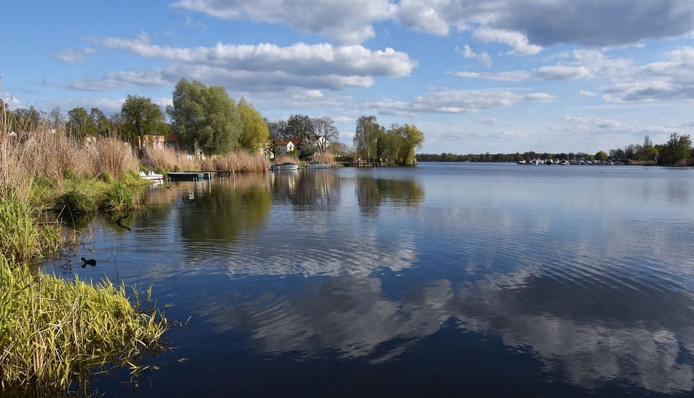 Die Insel Weder in der Havel.... Foto & Bild | deutschland, europe ...