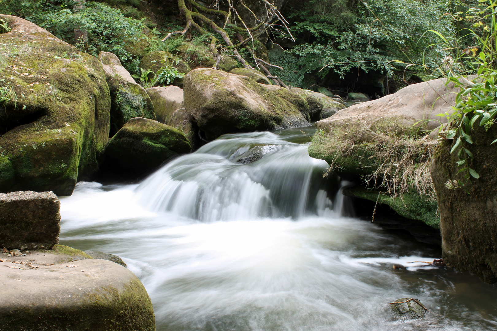 Die Irreler Wasserfälle im Naturpark Südeifel Foto & Bild | world ...