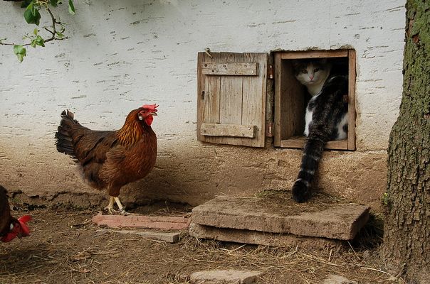 Brigitte Greiner - Fotos & Bilder - Fotografin aus Welzheim ...