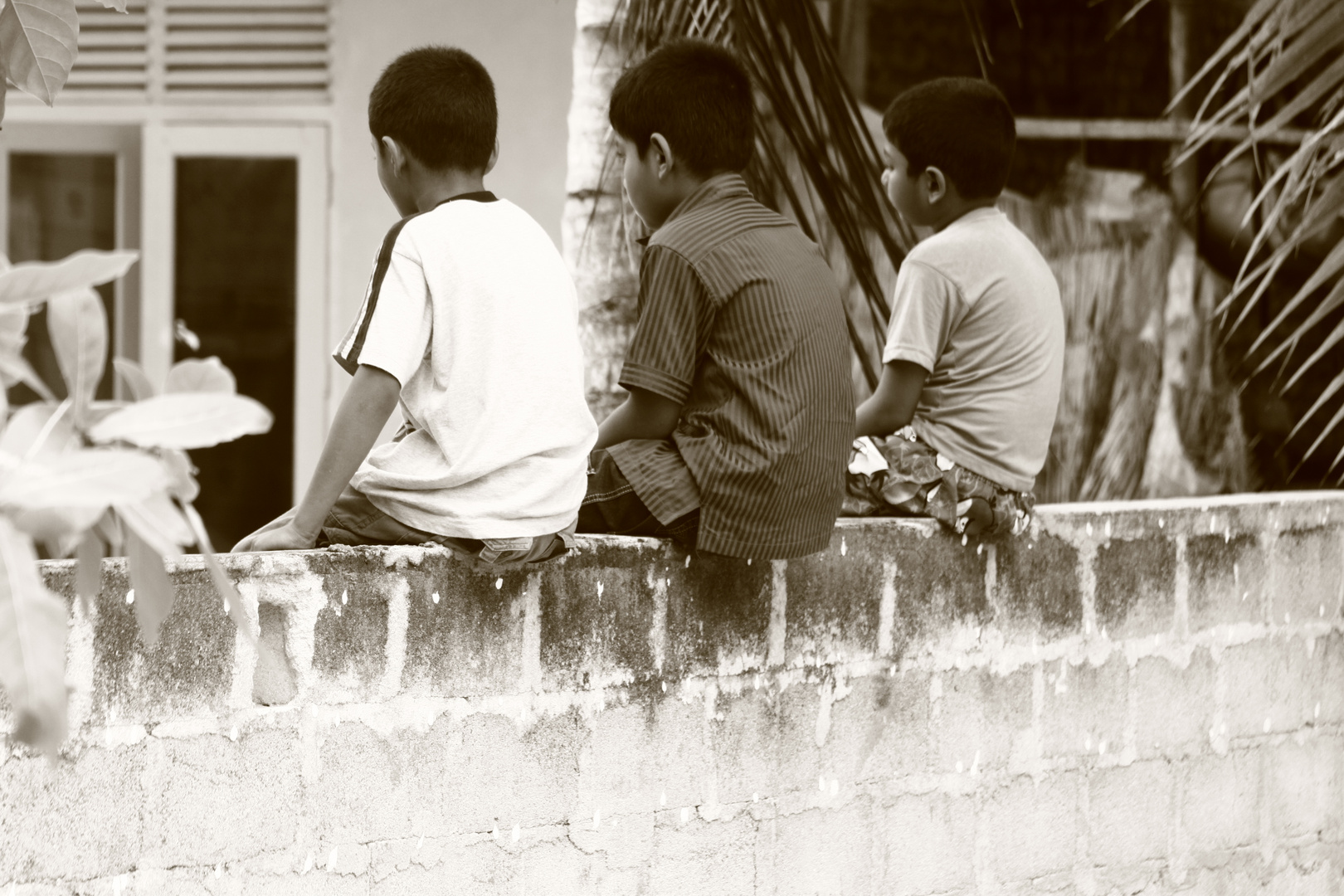 die Jungs auf der Mauer Foto & Bild | kinder, kinder im schulalter ...