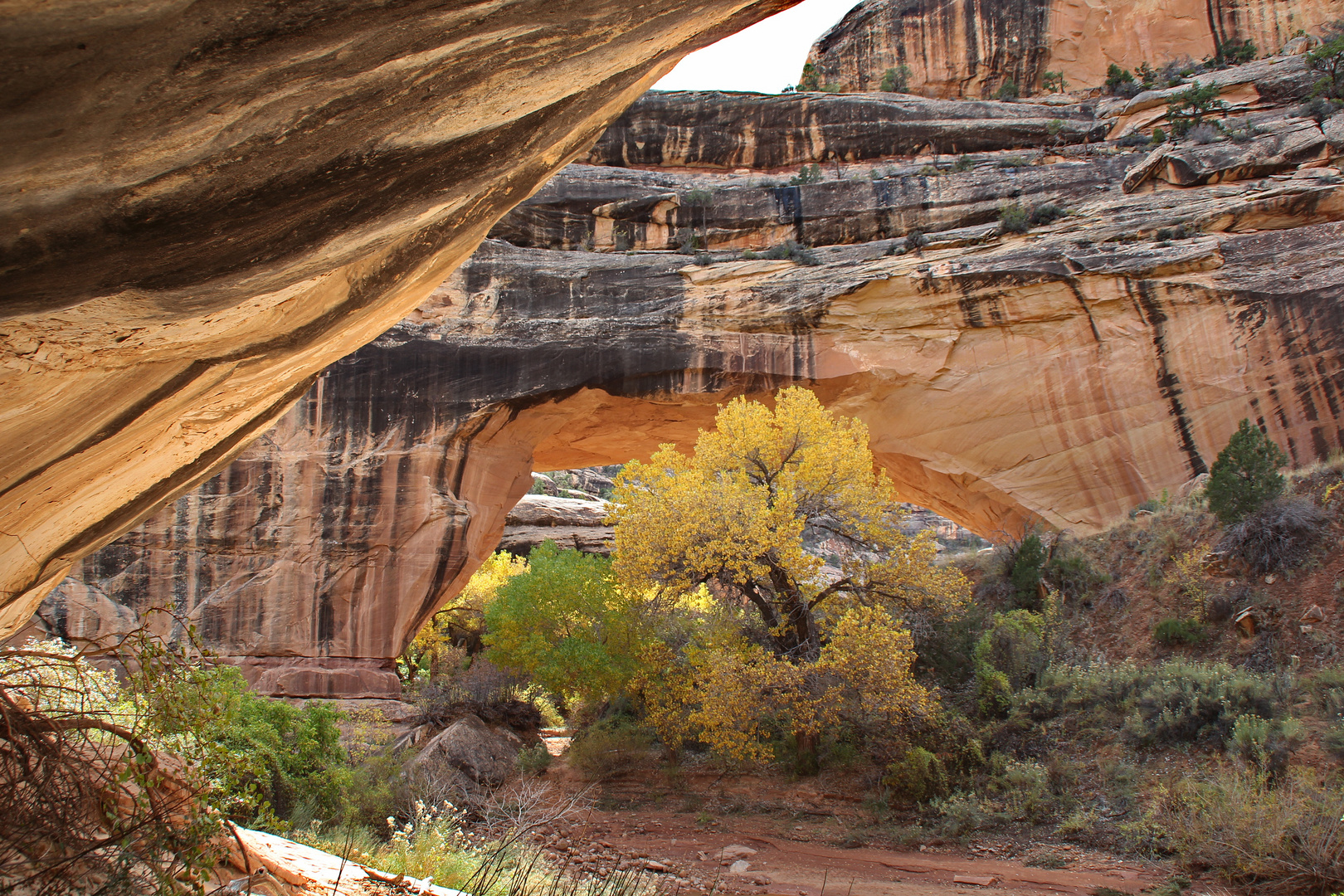 Die Kachina Bridge... Foto & Bild | north america, united states, utah ...