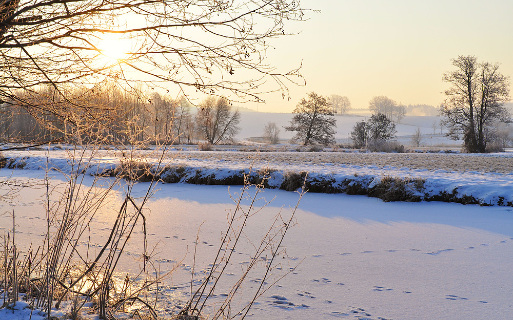 Die Kälte.... Foto & Bild | jahreszeiten, winter, natur 2 Bilder auf ...