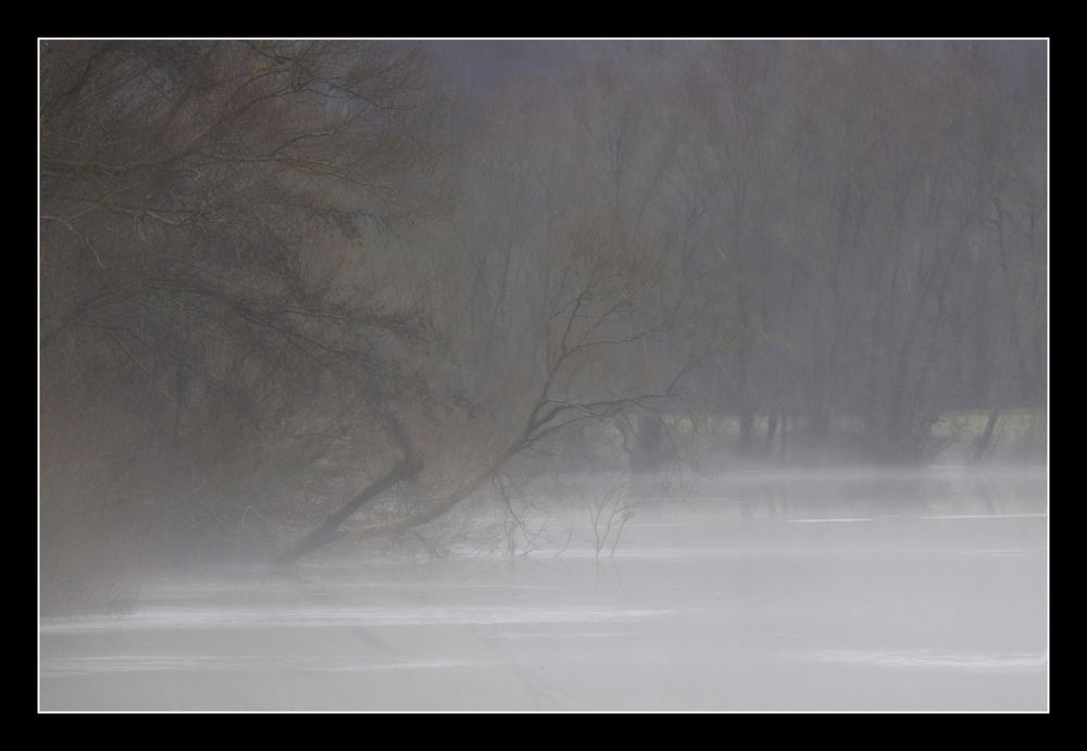 Die Kälte kommt!! - Bild & Foto von R.Fischer aus Winterliche ...