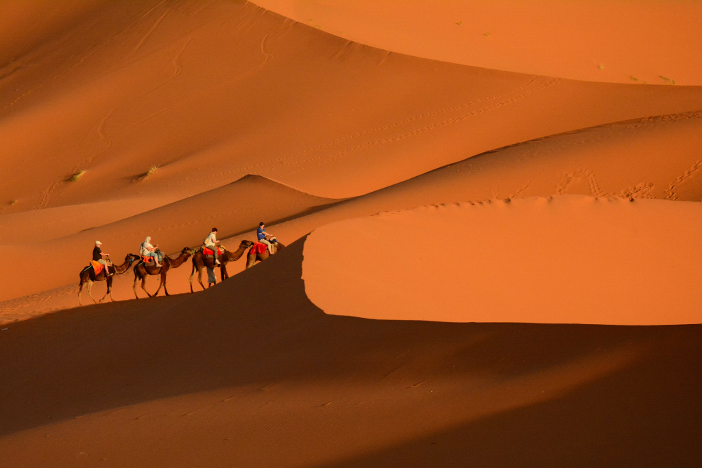 Die Karawane Foto & Bild | africa, morocco, north africa Bilder auf ...