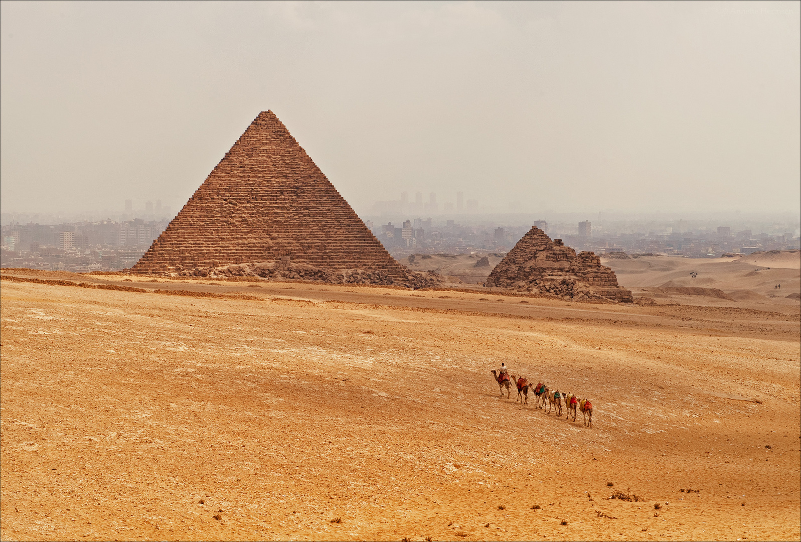 Die Karawane Foto & Bild | africa, egypt, north africa Bilder auf ...