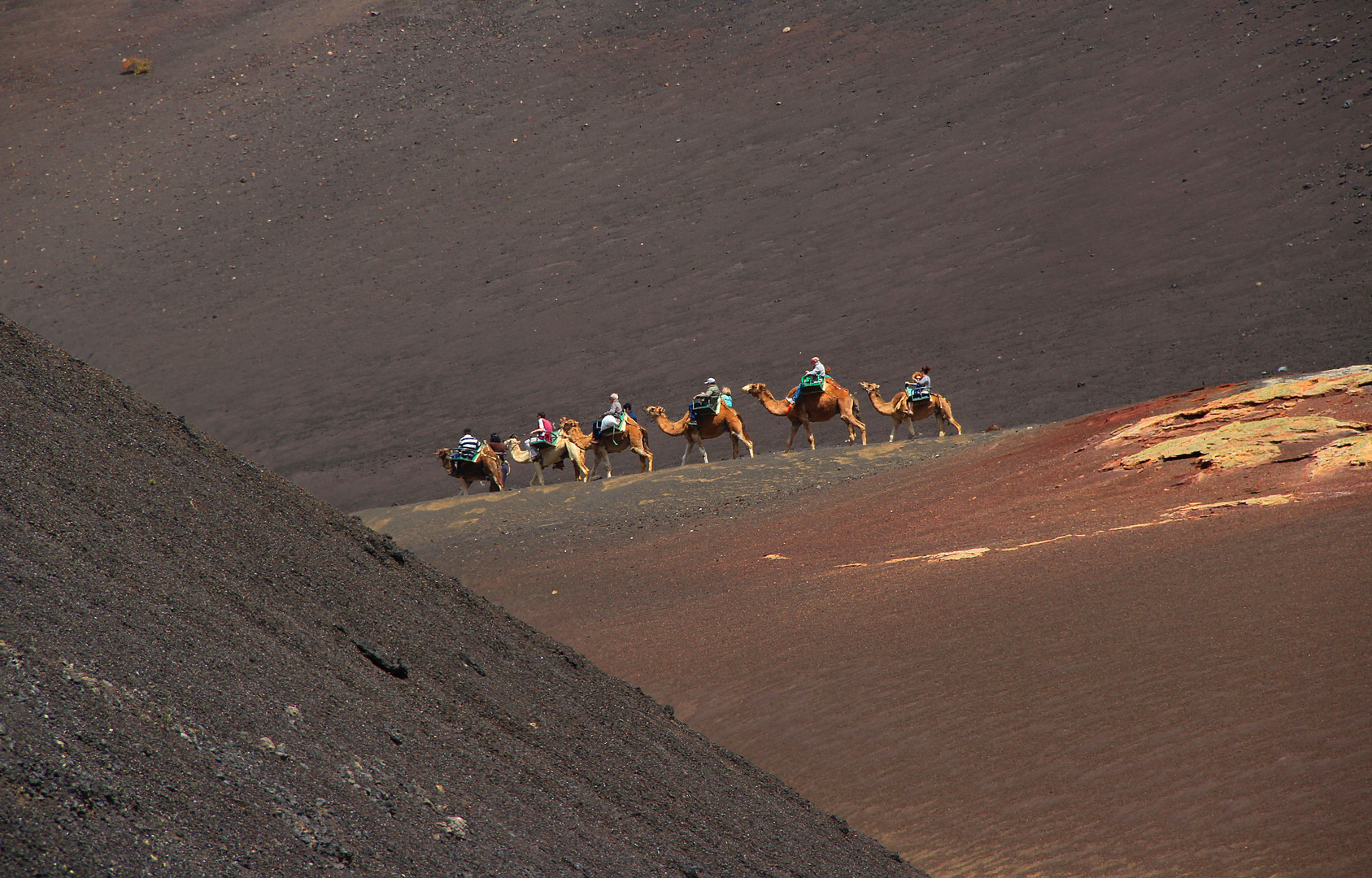 Die Karawane Foto & Bild | europe, canary islands die kanaren, spain ...