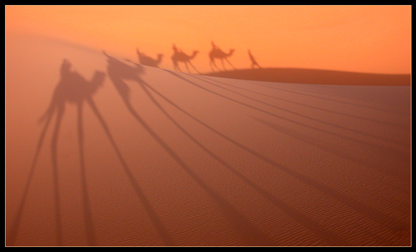die Karawane Foto & Bild | africa, morocco, north africa Bilder auf ...