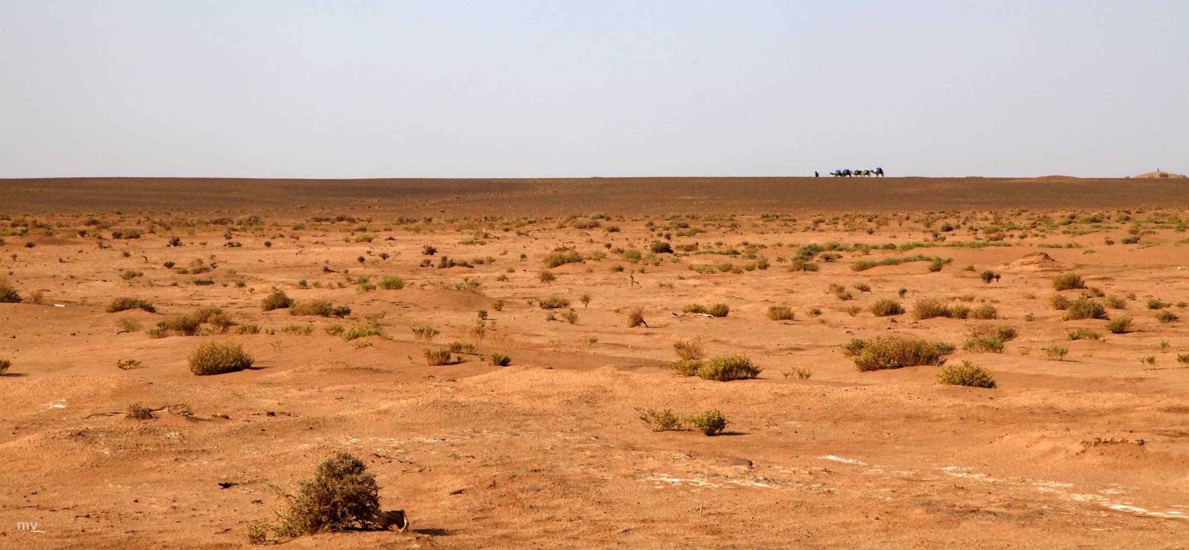 Die Karawane Foto & Bild | Bilder auf fotocommunity