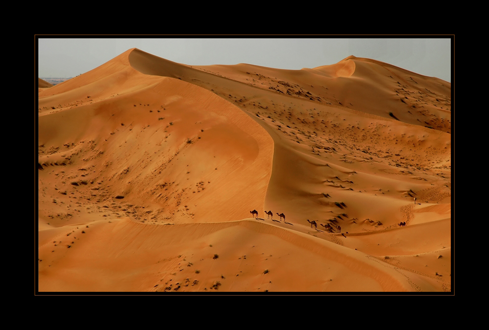 * Die Karawane * Foto & Bild | asia, middle east, united arab emirates ...