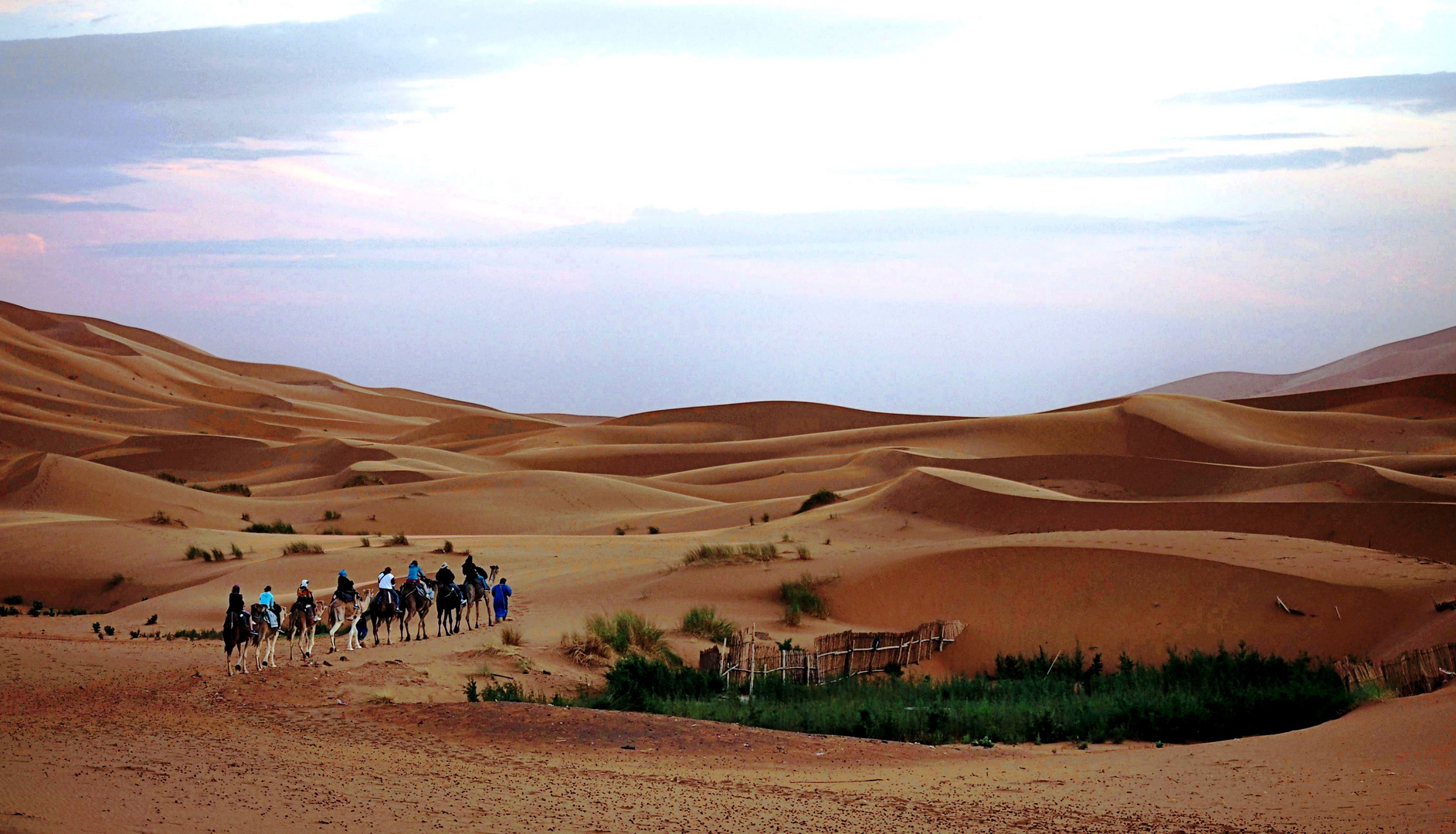 Die Karawane zieht los Foto & Bild | erwachsene menschen, africa ...