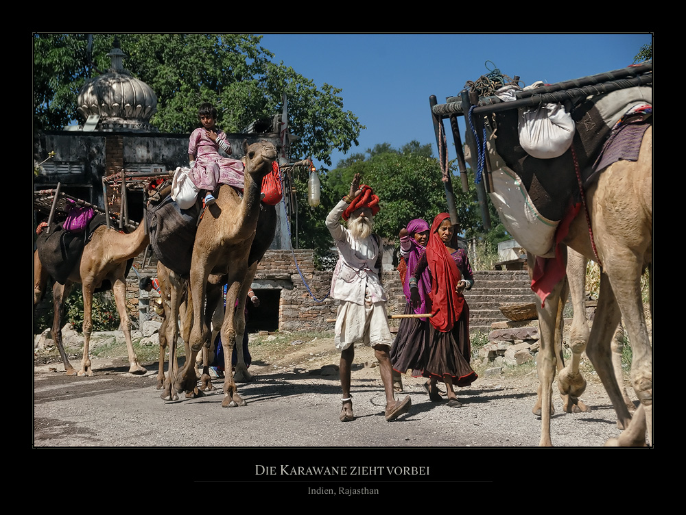 Die Karawane zieht vorbei Foto & Bild | asia, india, south asia Bilder ...