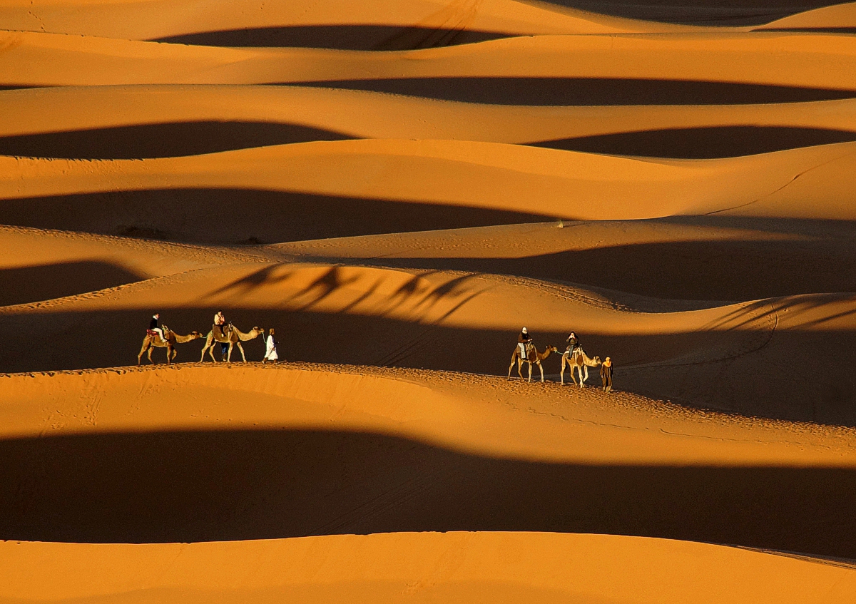 Die Karawane zieht weiter Foto & Bild | africa, morocco, north africa ...