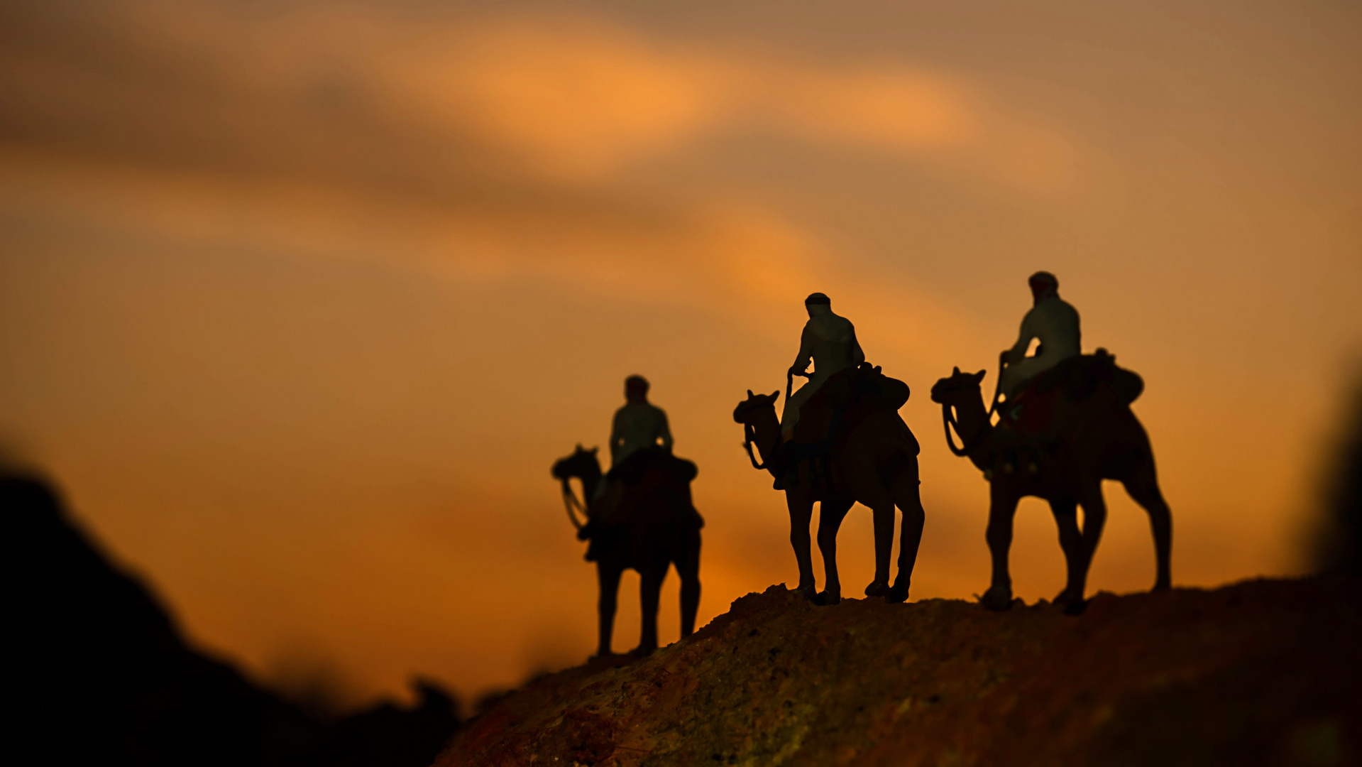 Die Karawane zieht weiter Foto & Bild | asia, middle east, stillleben ...