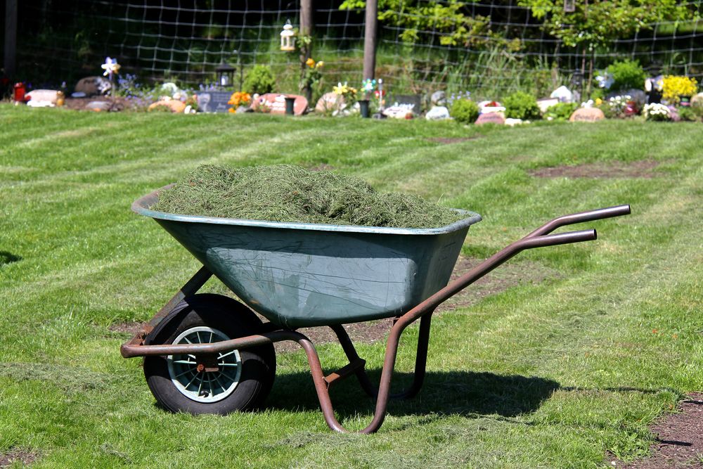 Die Karre ist voll Foto & Bild | landschaft, garten- & parklandschaften ...