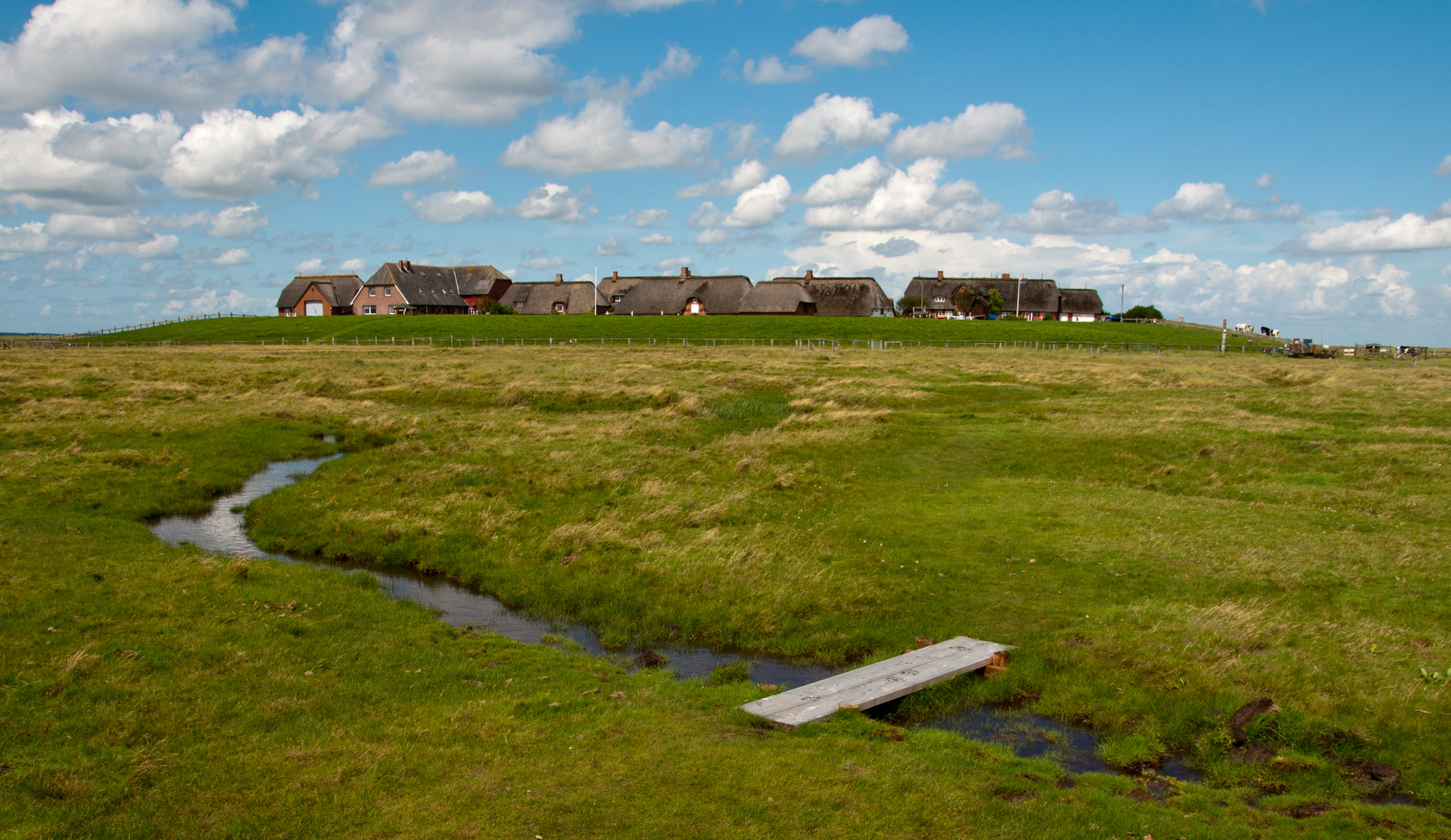 Die Ketelswarf auf der Hallig Langeness Foto & Bild | world ...