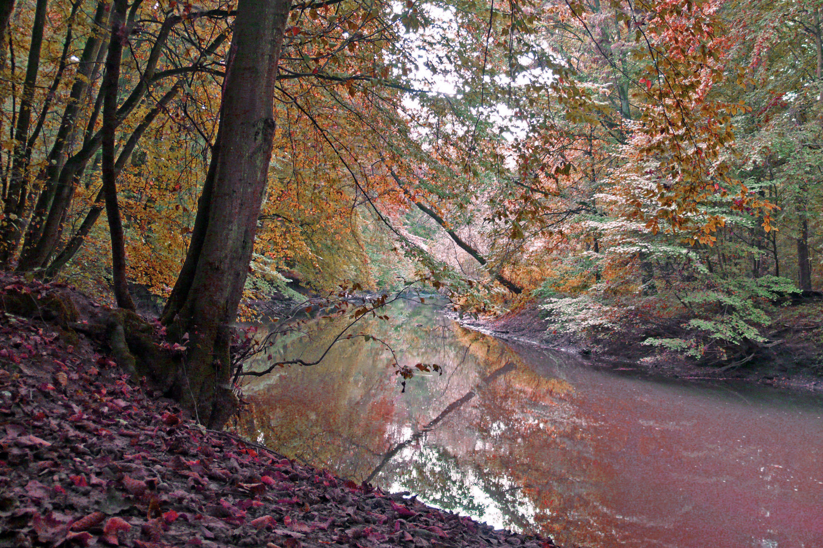 Die Kinzig Foto & Bild | hessen, deutschland, fluß Bilder auf fotocommunity