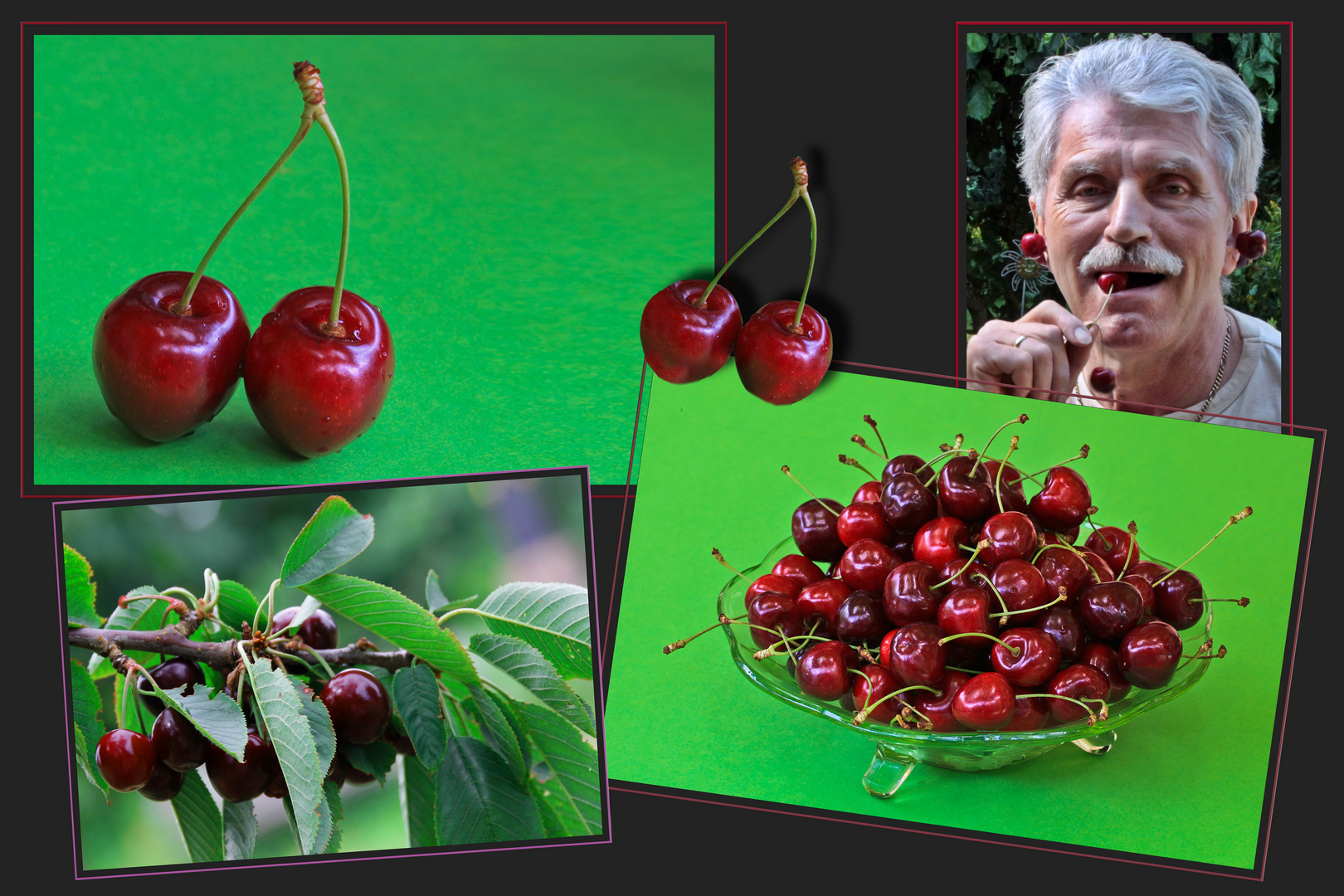 Die Kirschen... Foto & Bild | pflanzen, pilze & flechten, früchte und ...