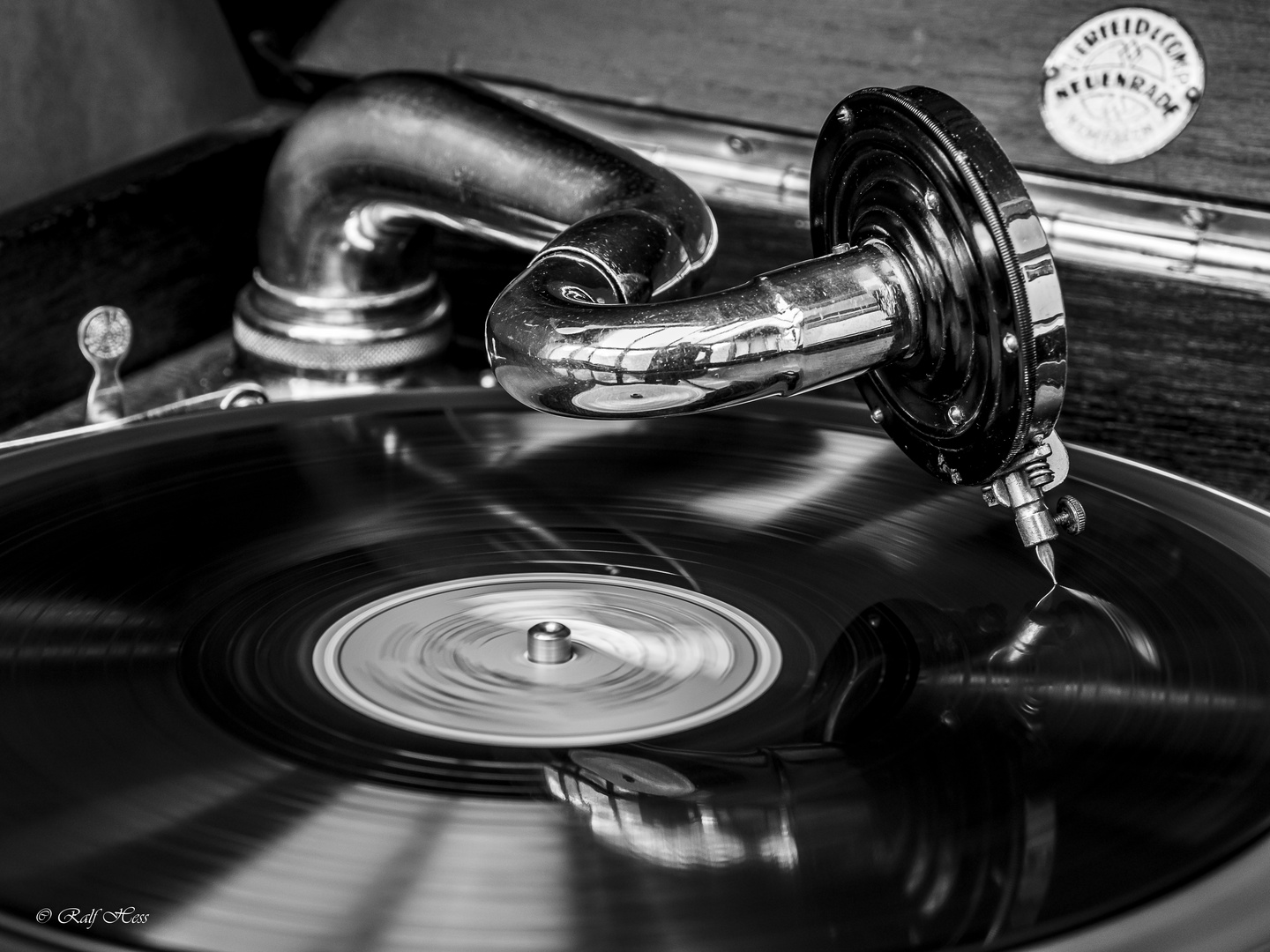 Die Kirschen in Nachbars Garten - Liedtitel Foto & Bild | fotos ...